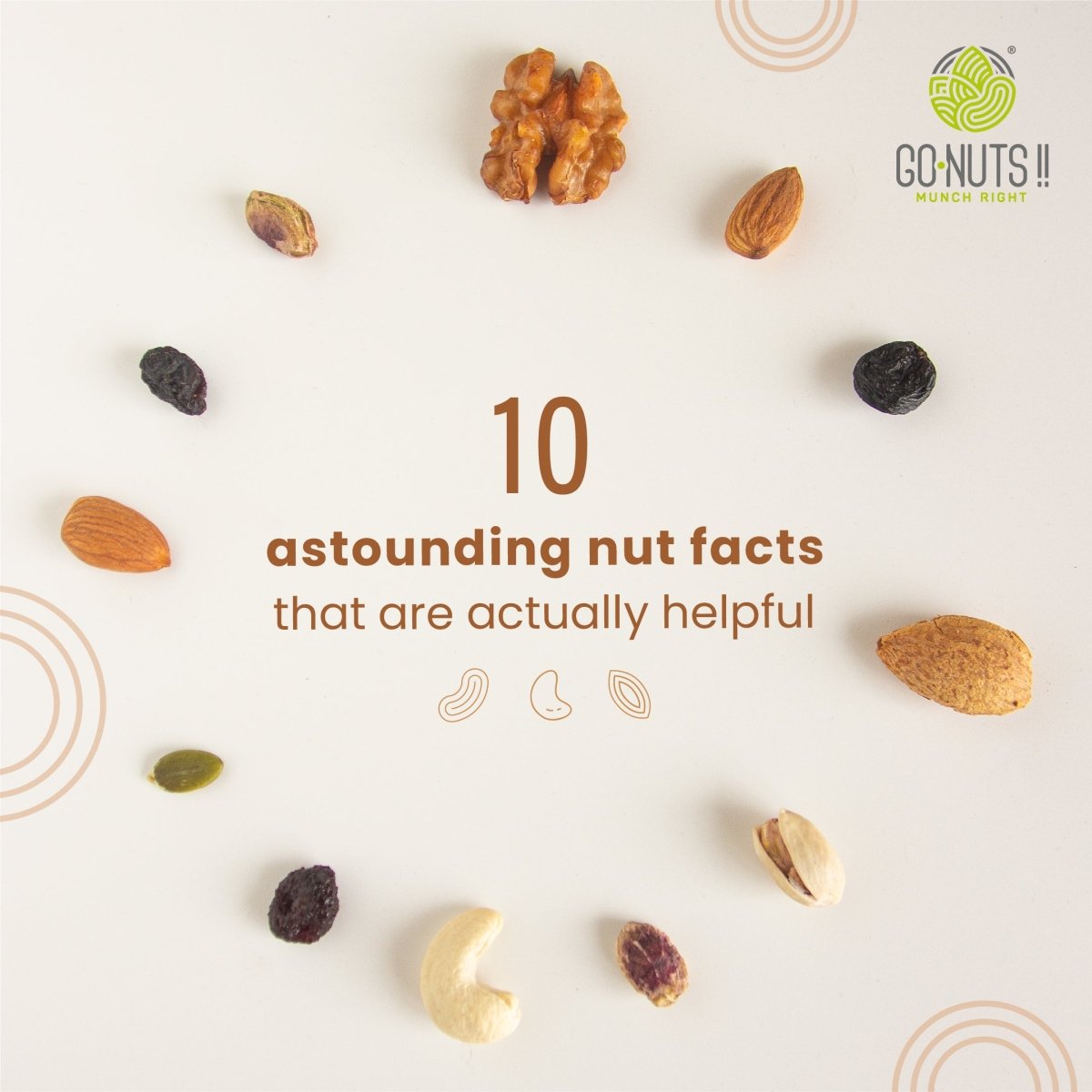 10 ASTOUNDING NUT FACTS THAT ARE ACTUALLY HELPFUL – Go Nuts !! Munch Right