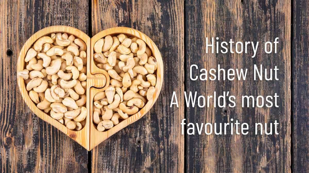 History of Cashew Nut A World’s Most Favorite Nut – Go Nuts !! Munch Right